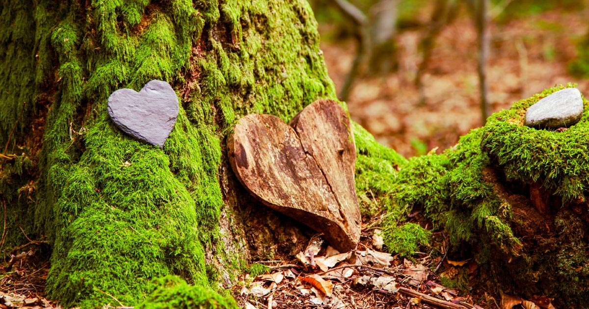 Lambeth's pet crematorium – pet burial services in SW17 0DH London ...